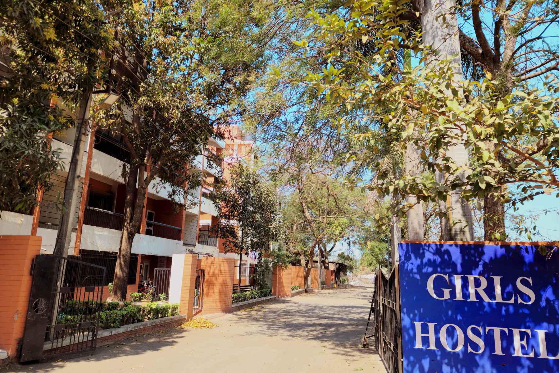 IPS Academy School Of Computers – Top BCA | MCA College in Indore